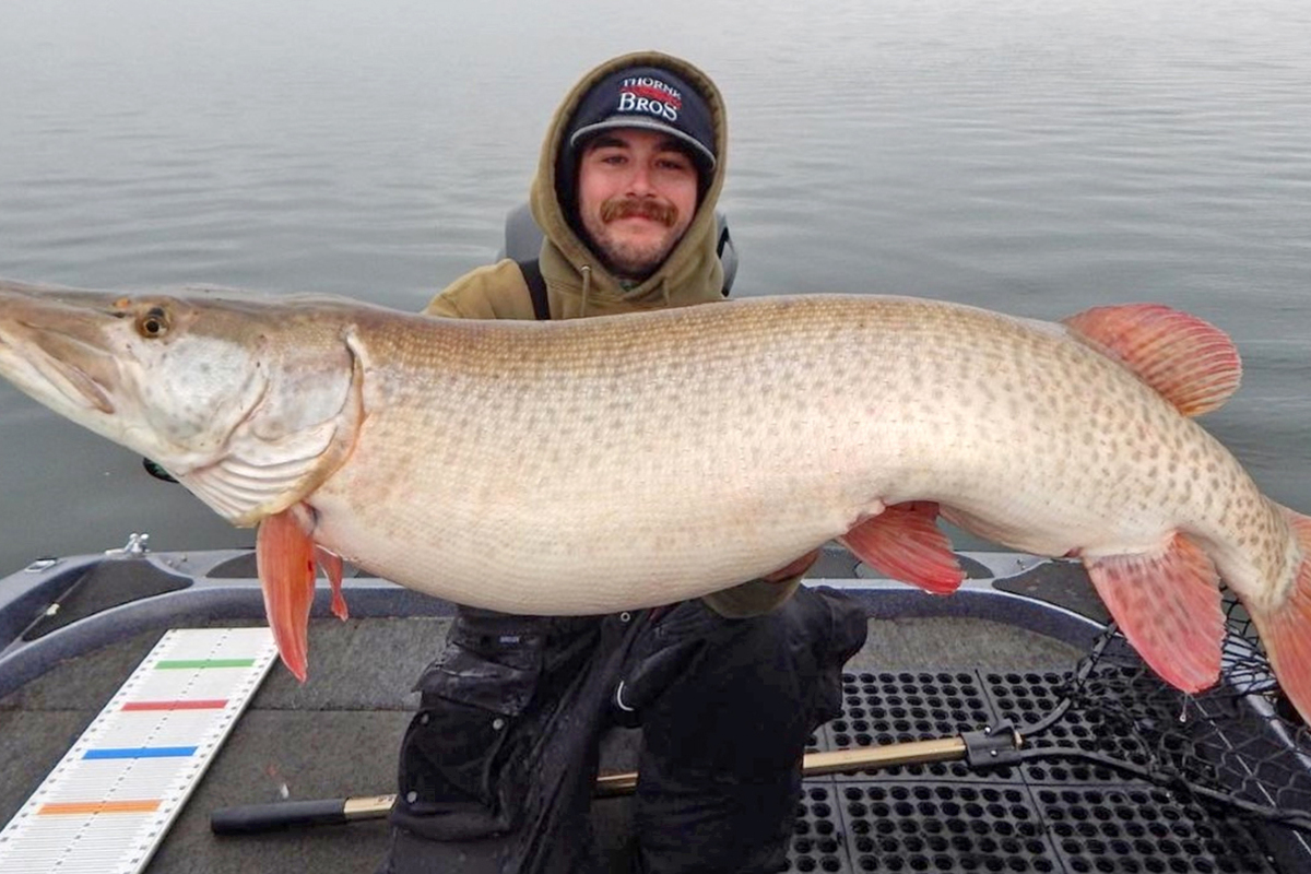 The Best Equipment Choices for an Epic Muskie Catch - Fishing ...